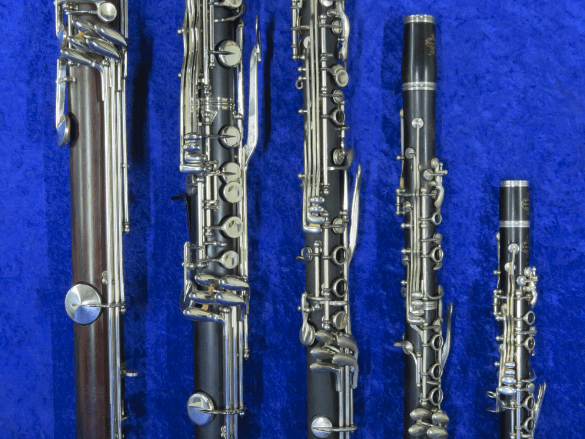 Clarinets | Musical Instrument City